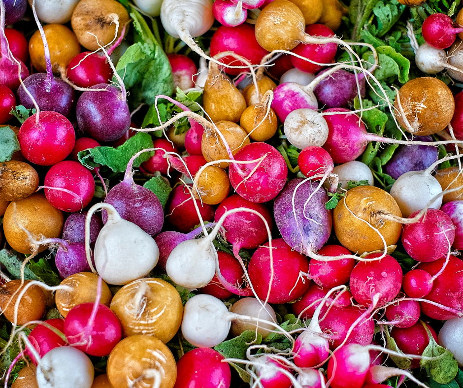 À la découverte du radis - C'est moi le Chef!
